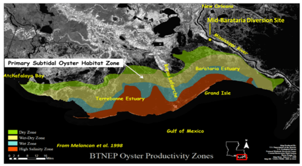 Oysters and Louisiana’s Changing Coast – BTNEP Website