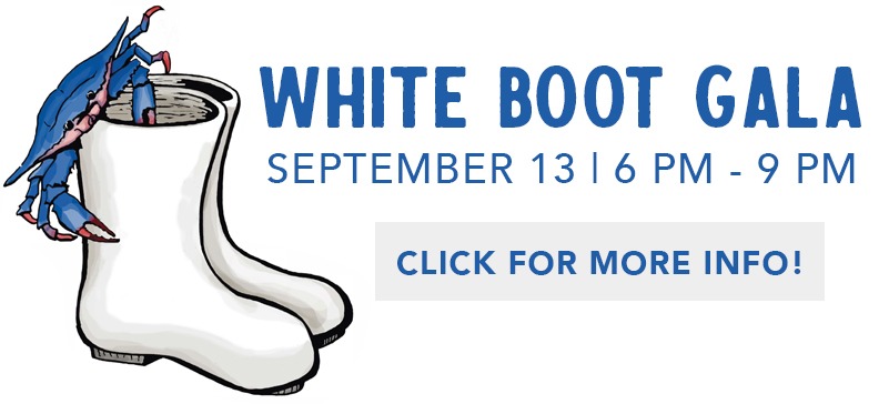 BTNEP Website – Preserving the Past . . . Protecting the Future Together