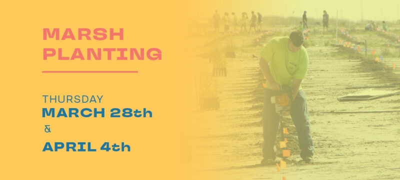 BTNEP Website – Preserving the Past . . . Protecting the Future Together