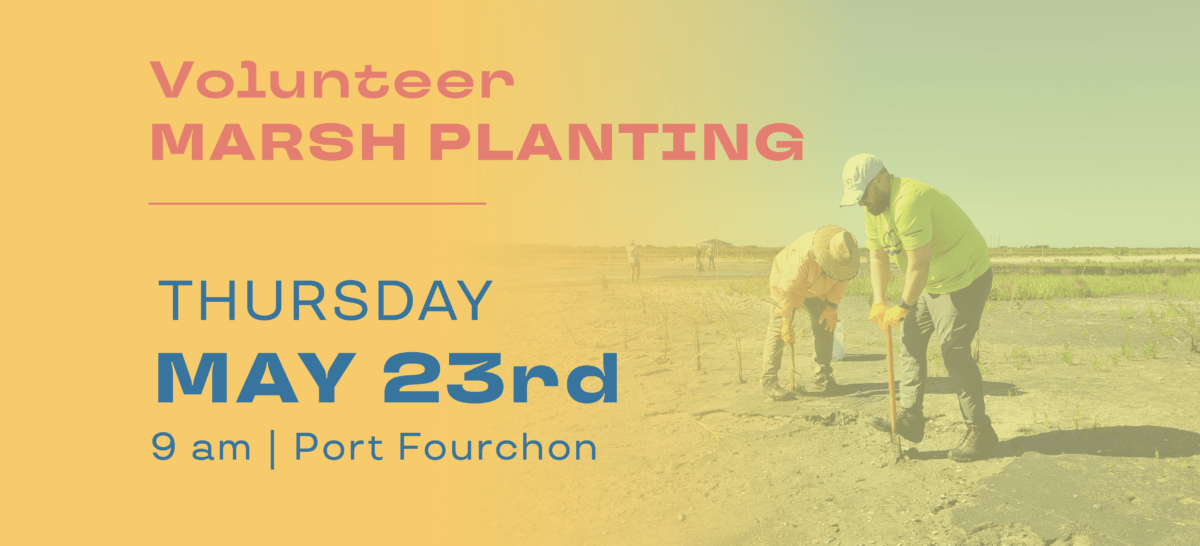 BTNEP Website – Preserving the Past . . . Protecting the Future Together