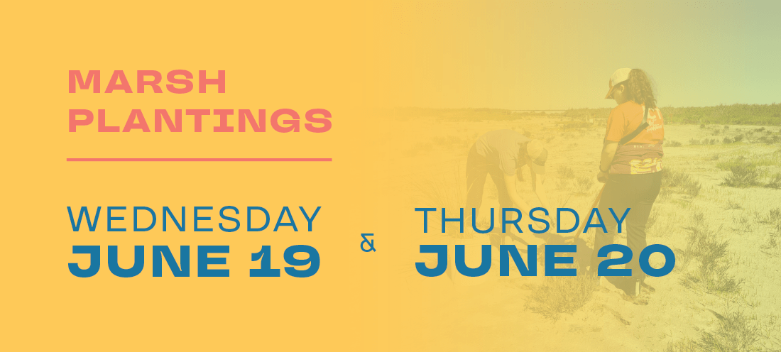 BTNEP Website – Preserving the Past . . . Protecting the Future Together