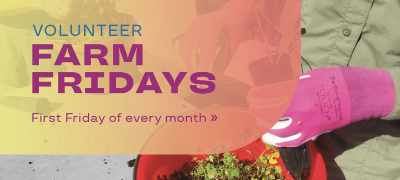 BTNEP Website – Preserving the Past . . . Protecting the Future Together