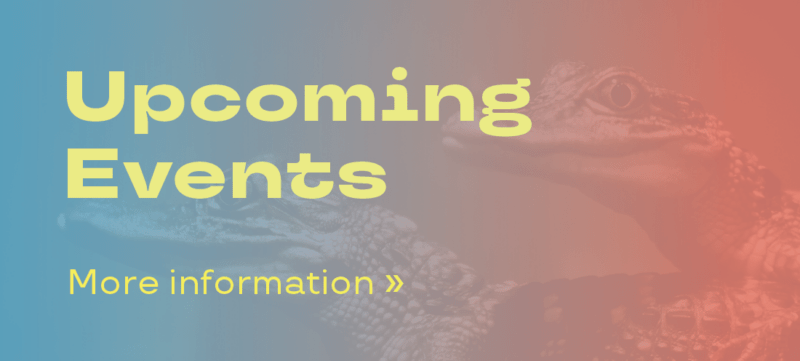 BTNEP Website – Preserving the Past . . . Protecting the Future Together