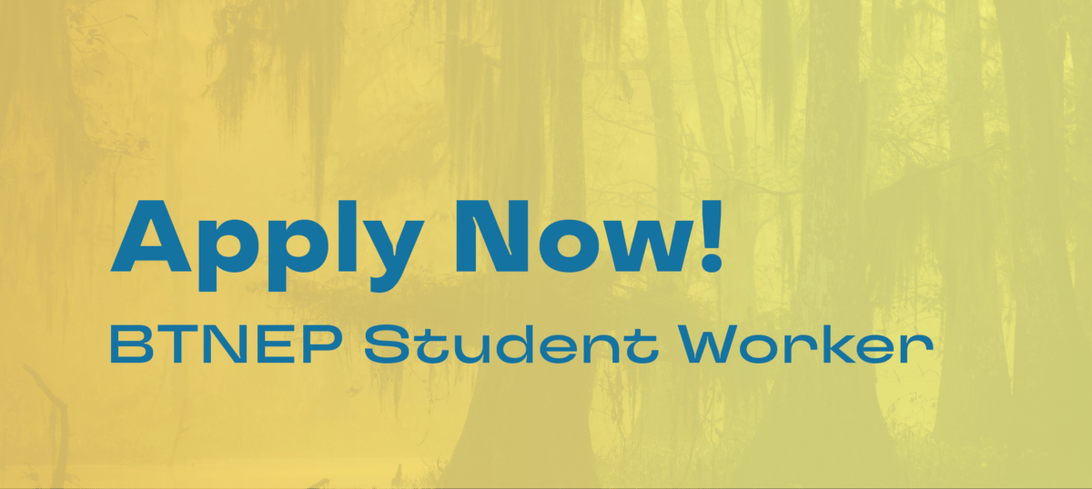 BTNEP Website – Preserving the Past . . . Protecting the Future Together