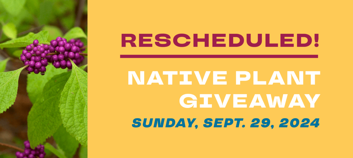 RESCHEDULED: BTNEP Native Plant Giveaway – BTNEP Website