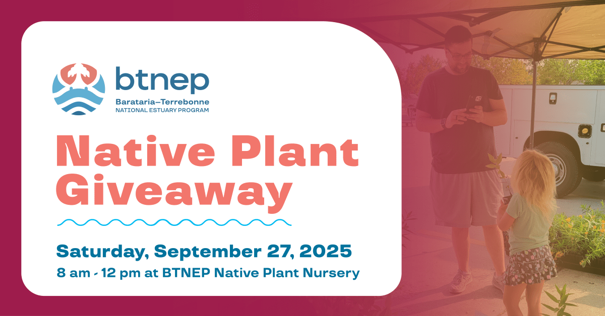 2025 BTNEP Native Plant Giveaway – BTNEP Website