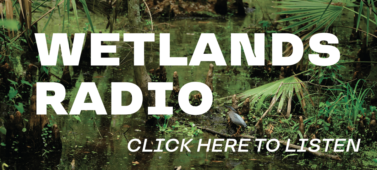 BTNEP Website – Preserving the Past . . . Protecting the Future Together