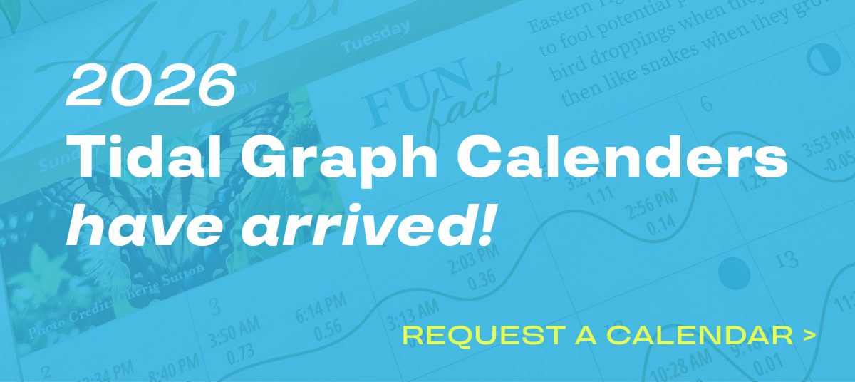 BTNEP Website – Preserving the Past . . . Protecting the Future Together