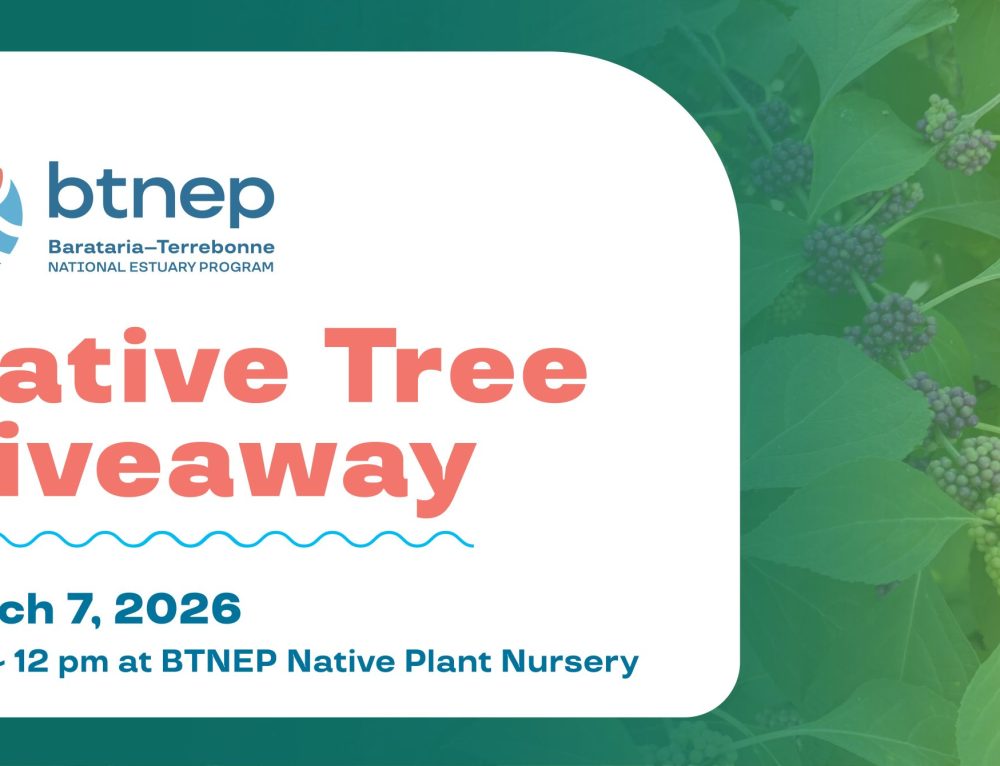 BTNEP Bayou Cleanup – BTNEP Website